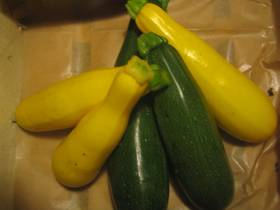 Courgettes (500g) | Le Potager des Rainettes